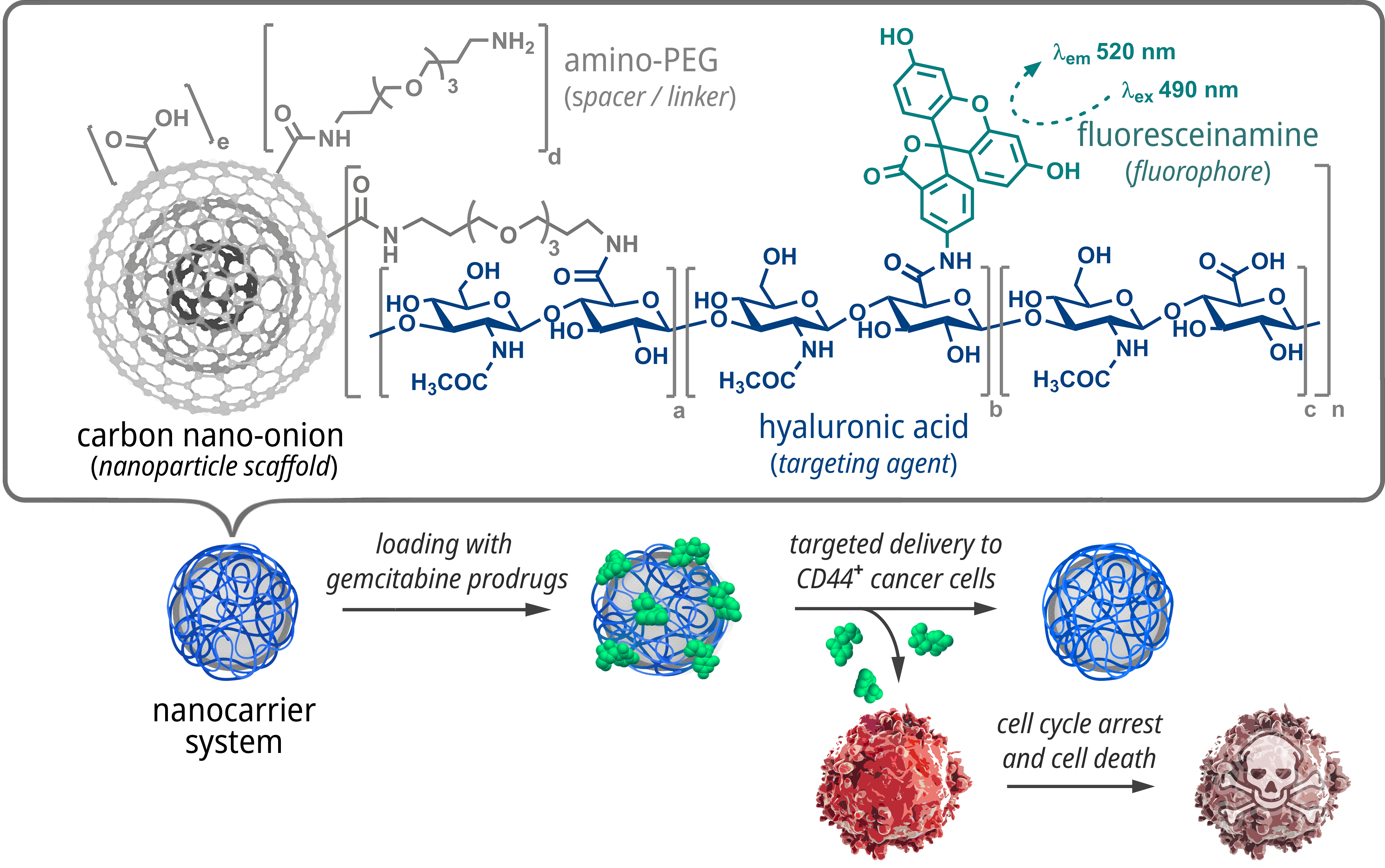 Enhancing pancreatic ductal adenocarcinoma (PDAC) therapy with targeted ...