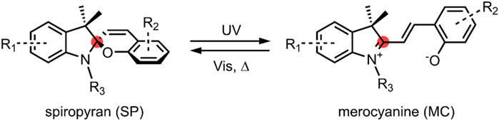 Spiropyran-Based Drug Delivery Systems | Giordani Group