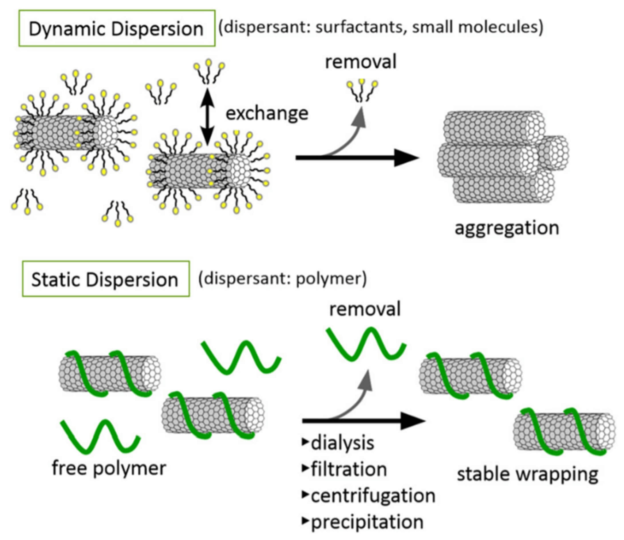 Biocompatible Dispersants for Carbon Nanomaterials | Giordani Group