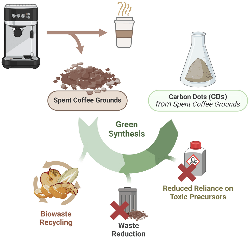 Synthesis of carbon dots from spent coffee grounds: transforming waste into potential biomedical ...